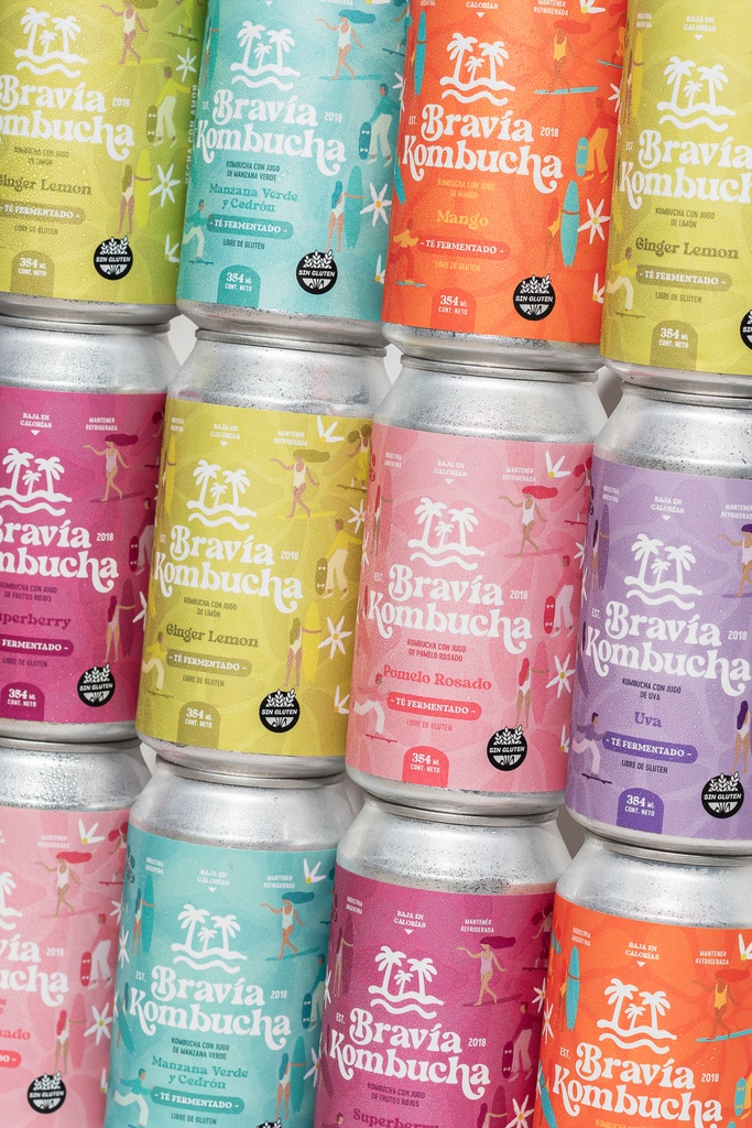 Bravía Kombucha x 24 unidades 354ml – Mix Sabores | Bravía Kombucha